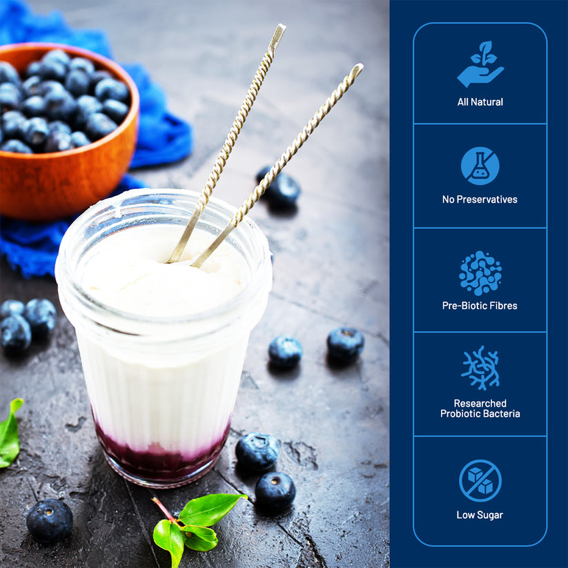 Snackivore Fruit Yogurt Powder Mix | Strawberry | ClickOnCare.com